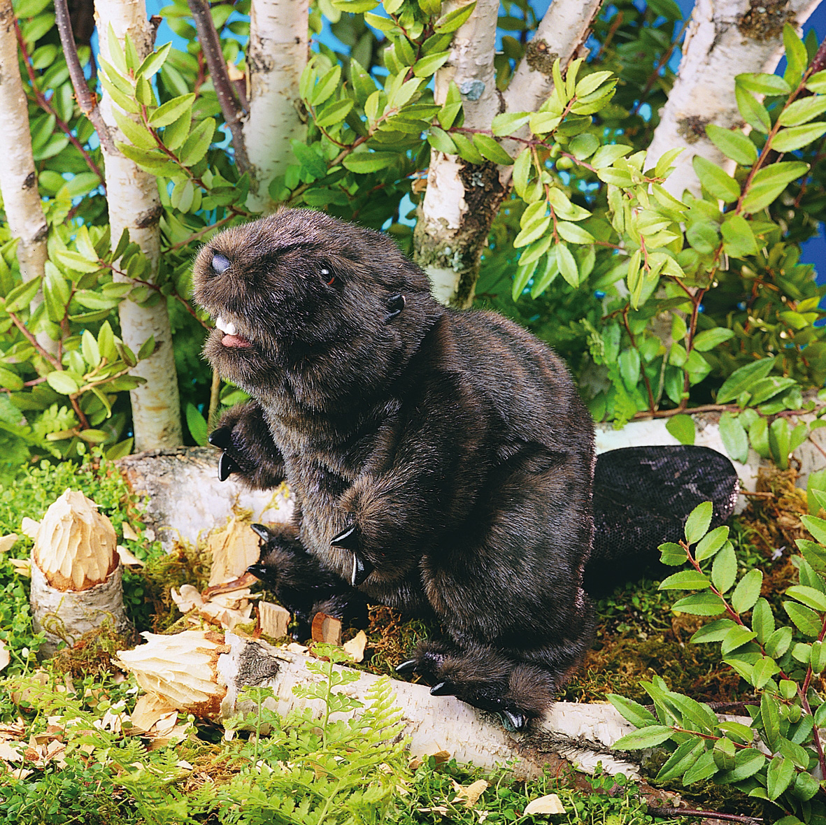 Handpuppe Biber | LMS Lehrmittel-Service H.Späth GmbH