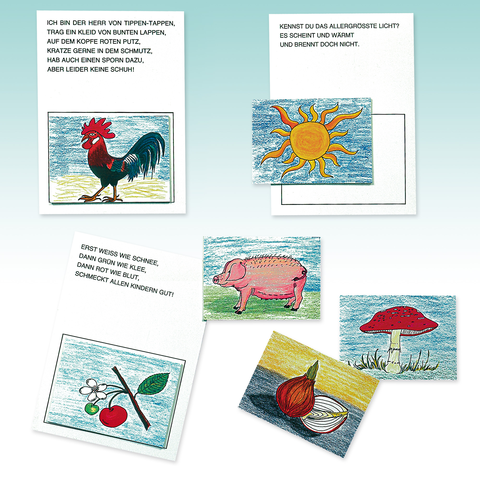 Rätselkarten | LMS Lehrmittel-Service H.Späth GmbH